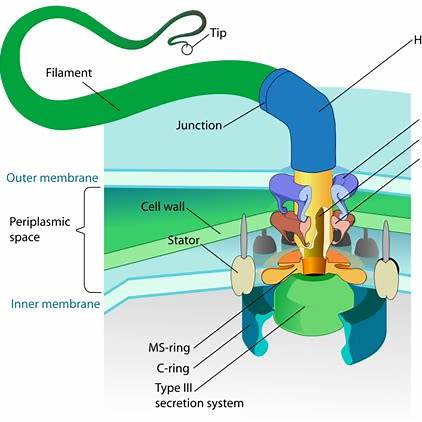 Arc 2 – Origins and Order - The Ponder Podcast